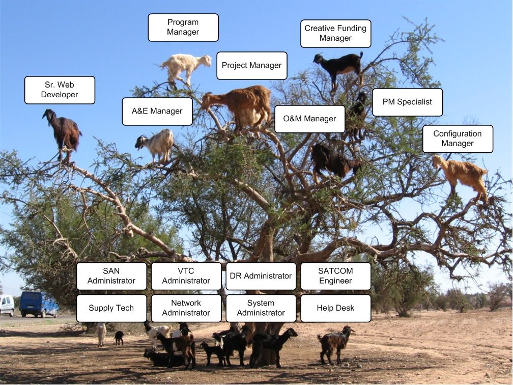 FARK.com: (7822937) Photoshop these gravity defying goats FARK.com: (7822937) Photoshop these gravity defying goats