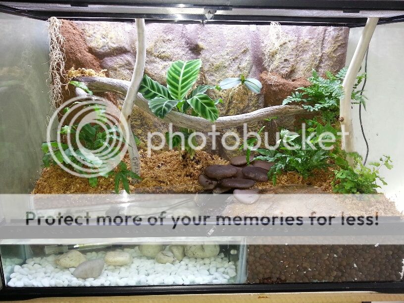 exo terra modifications | Aussie Pythons & Snakes Forum