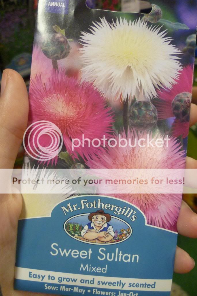 Sources of Inspiration – “Sweet Sultans” | AbbieSTABBY